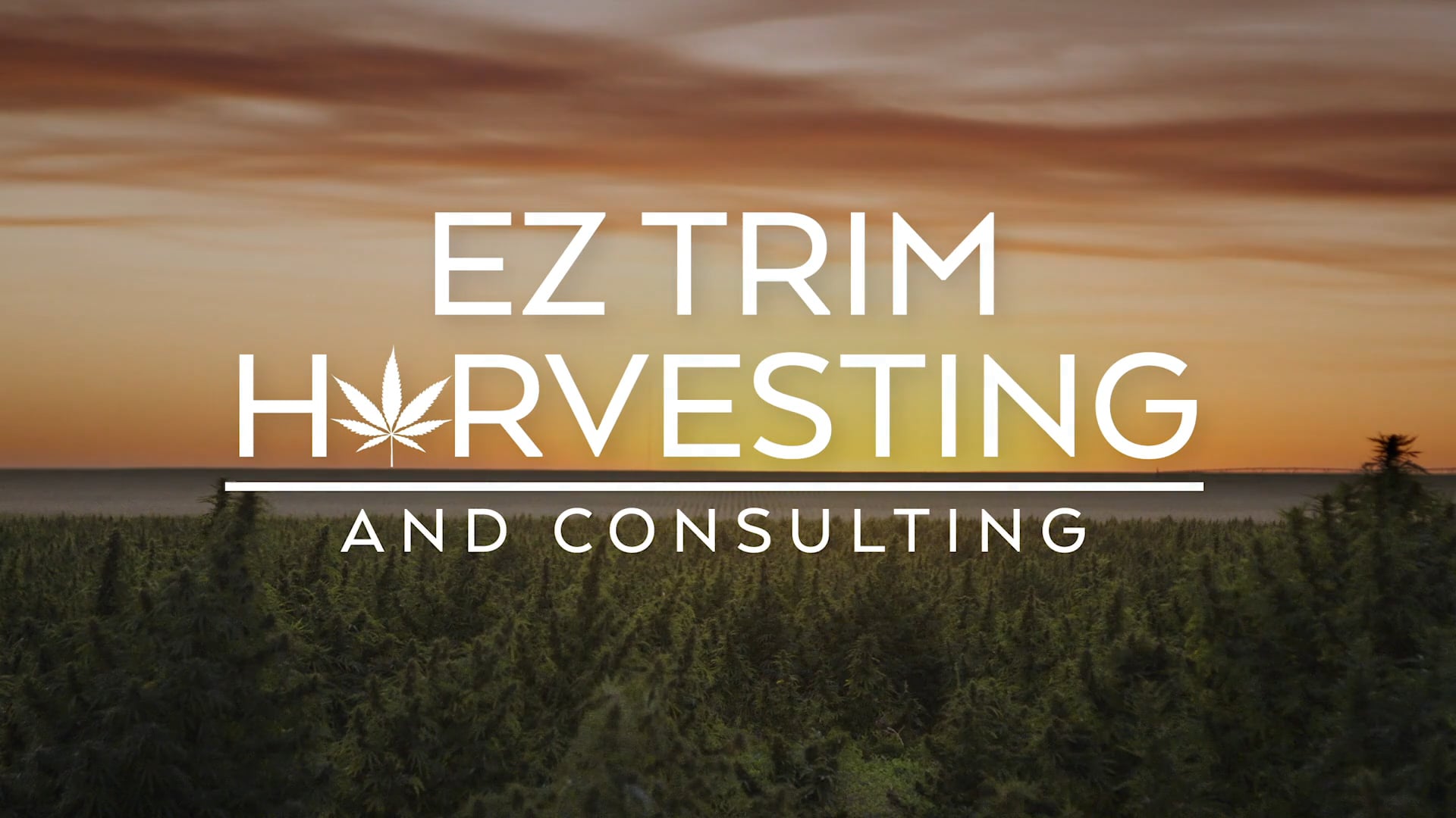 The Ez Trim Difference