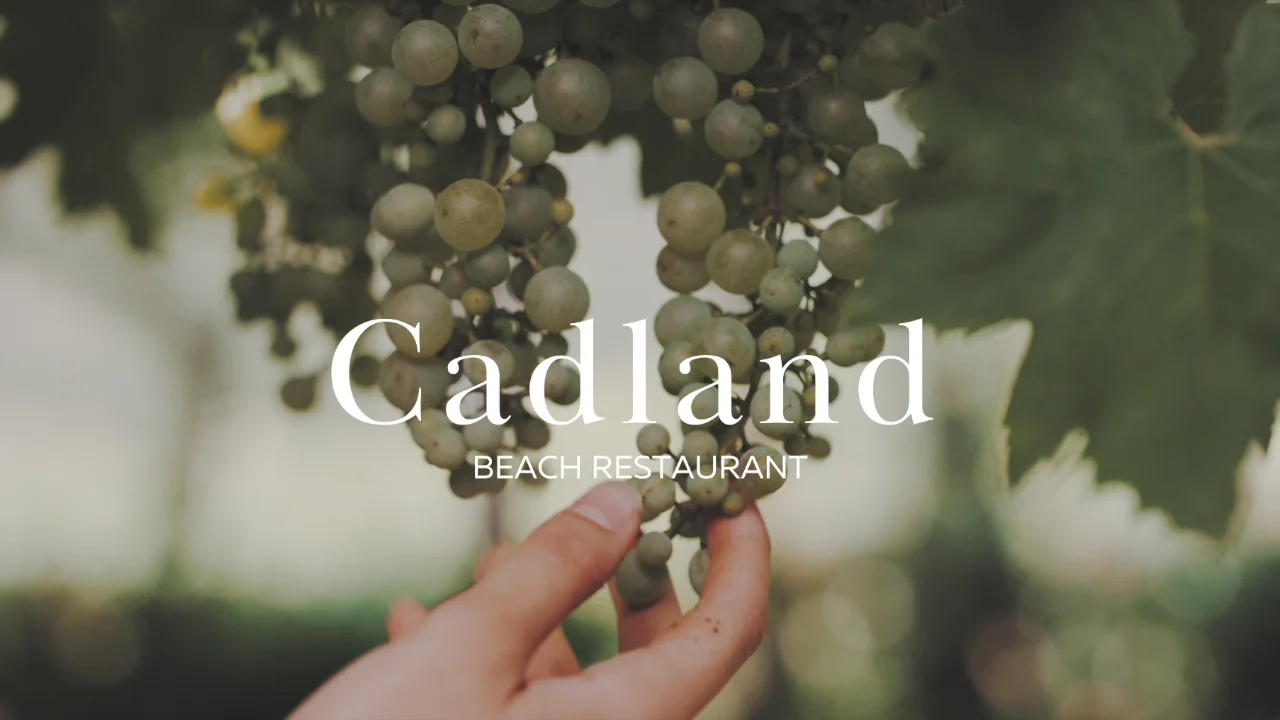 Cadland Beach Restaurant on Vimeo