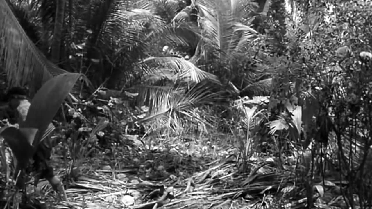 Lord of the Flies (1963 uncut original) directed by Peter Brook on Vimeo