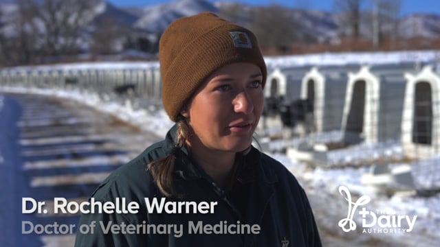 The Dairy Authority on Vimeo