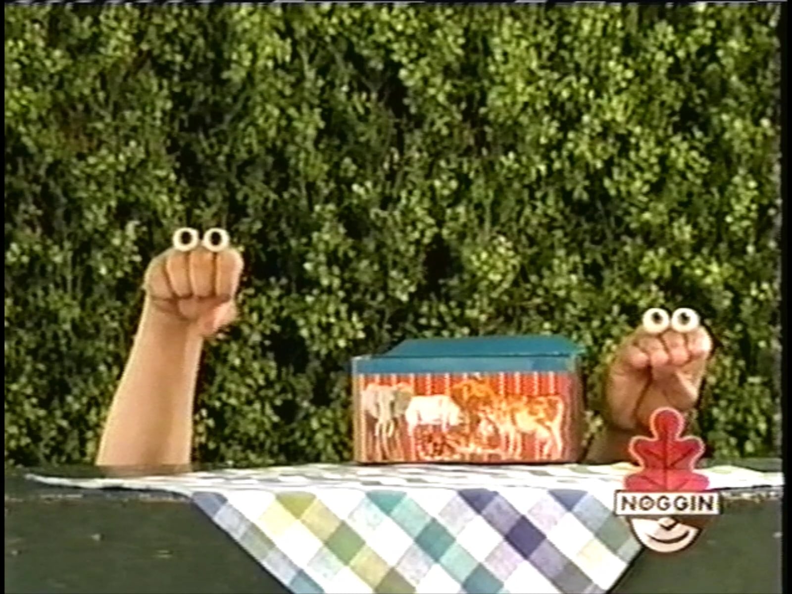 Oobi Animal Cookies on Vimeo