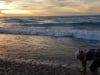 Kemil Beach on Vimeo