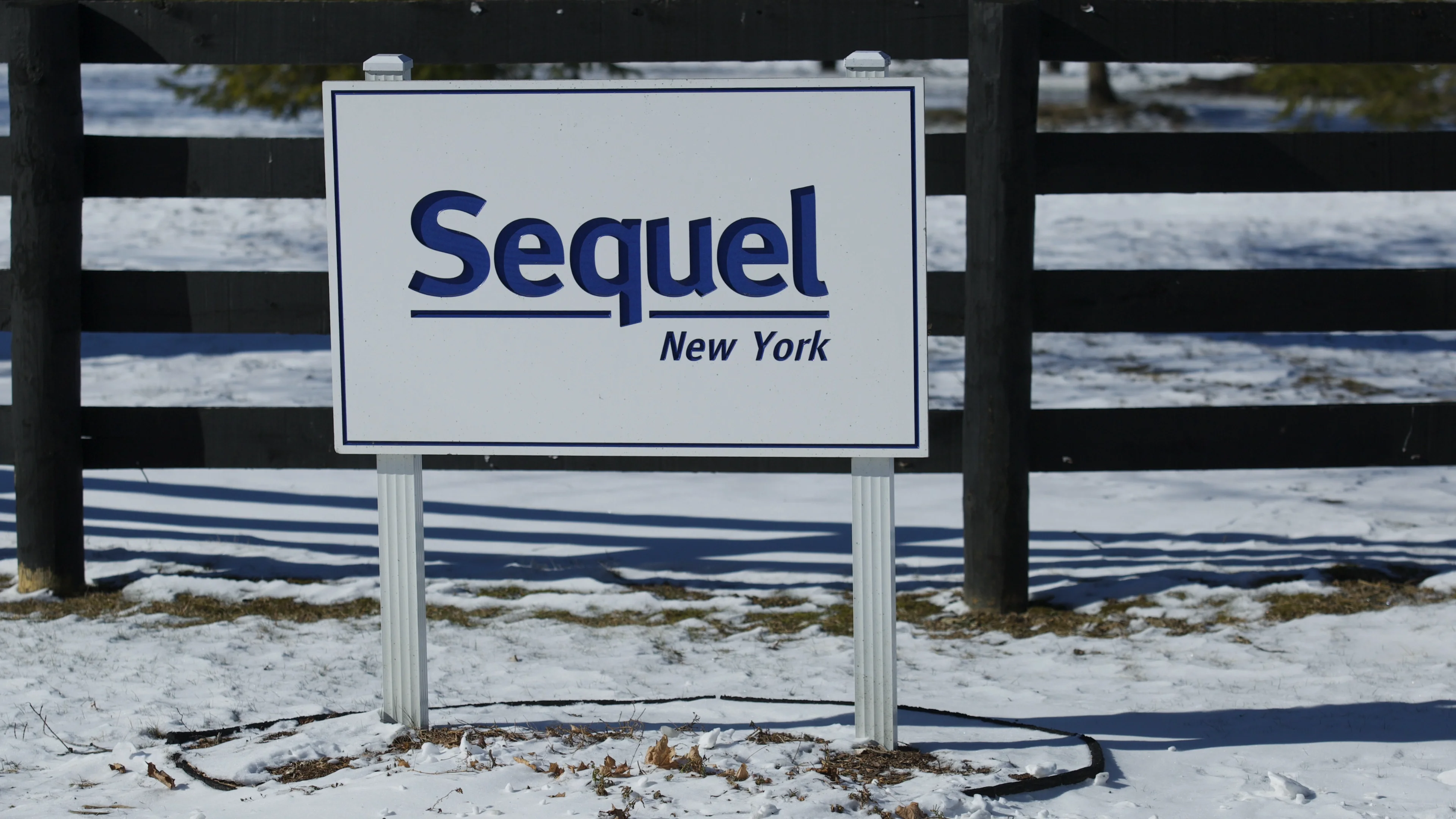 SEQUEL STALLION SHOW - 2021 on Vimeo