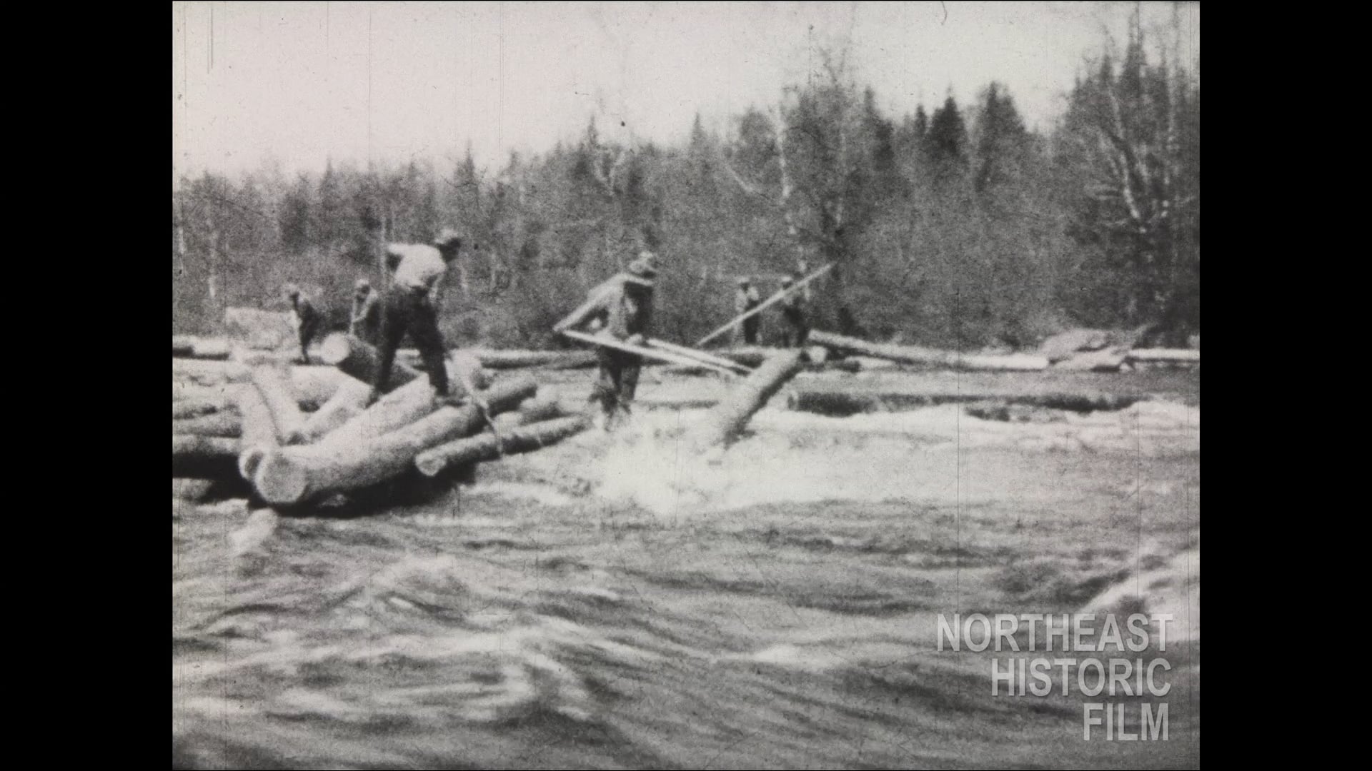 Watch From Stump to Ship: A 1930 Logging Film Online | Vimeo On Demand ...