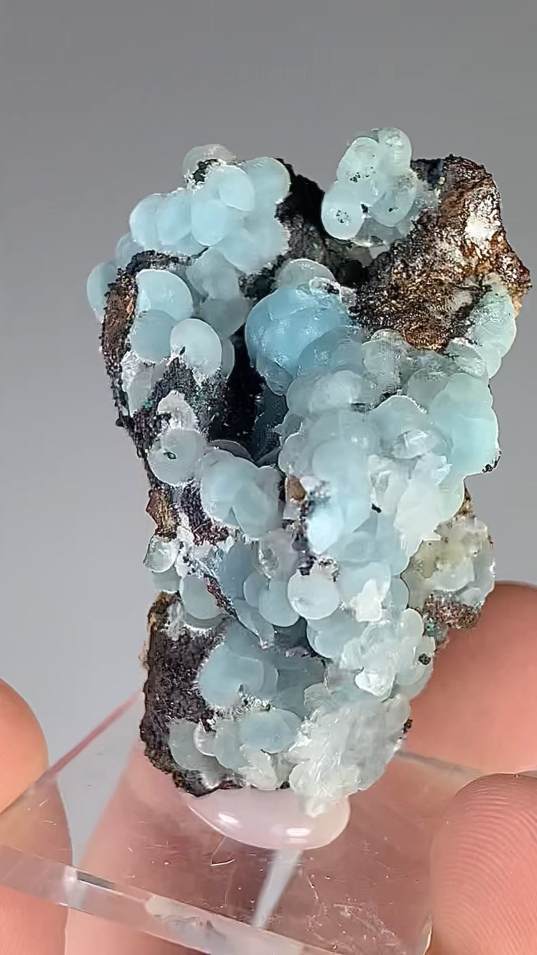 IMG_E0743.MOV on Vimeo