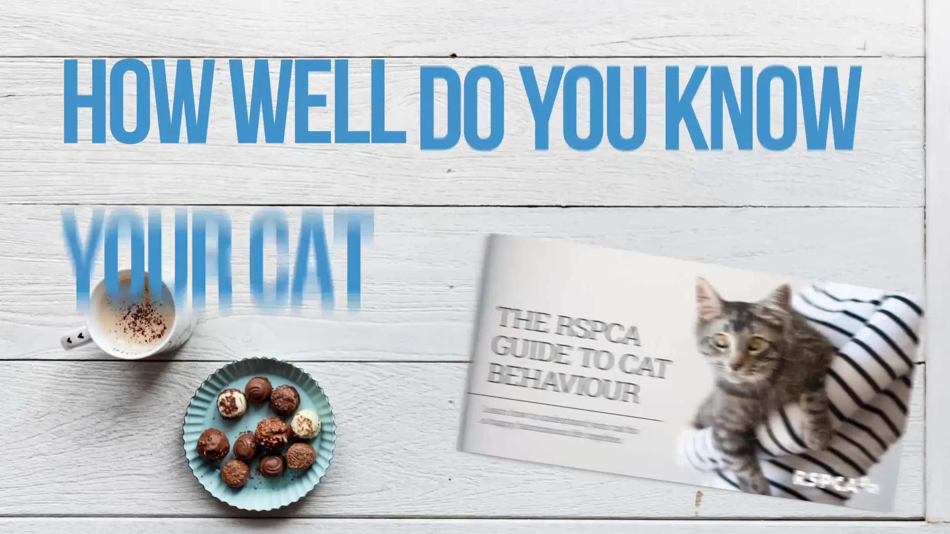 RSPCA Cat Behaviour Guide