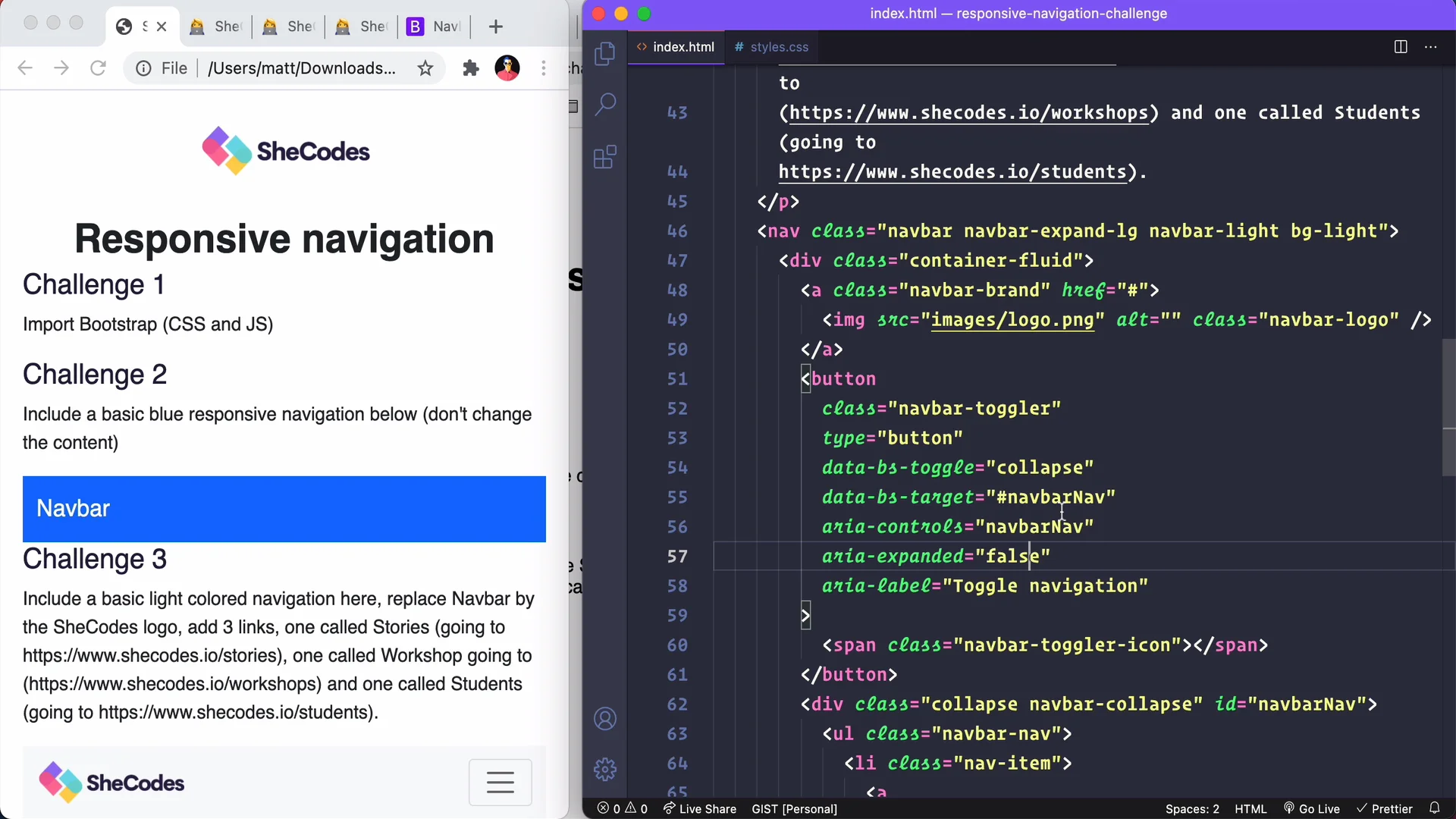 #353 - CSS Responsive Navigation Solution on Vimeo