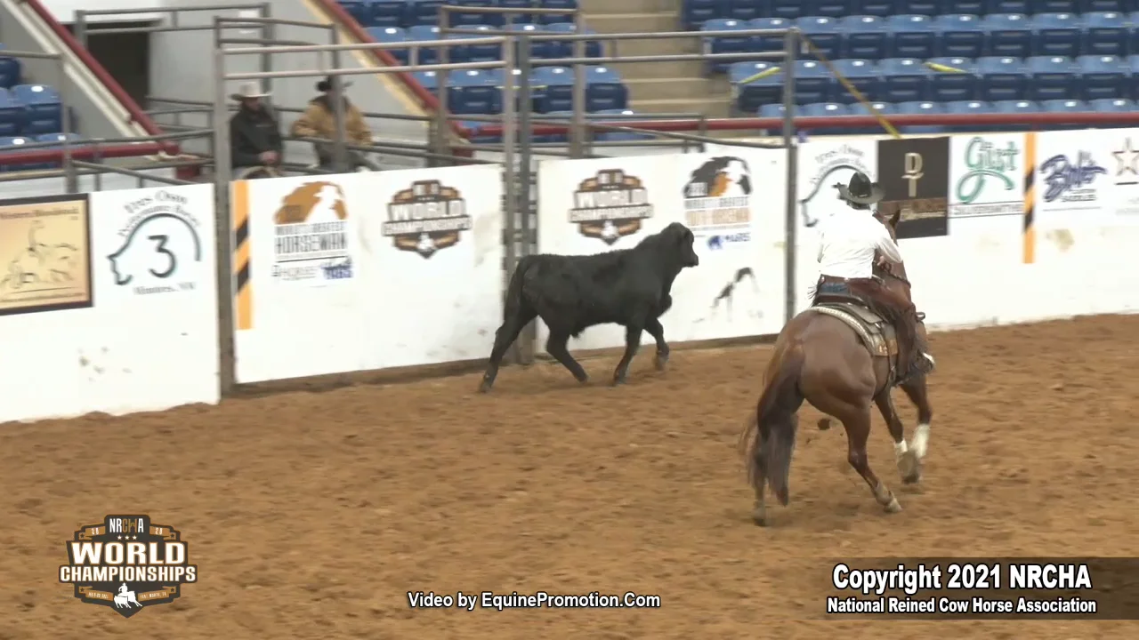 BehindChicNWire ridden by Liam Macneill - 2021 Celebration of Champions ...