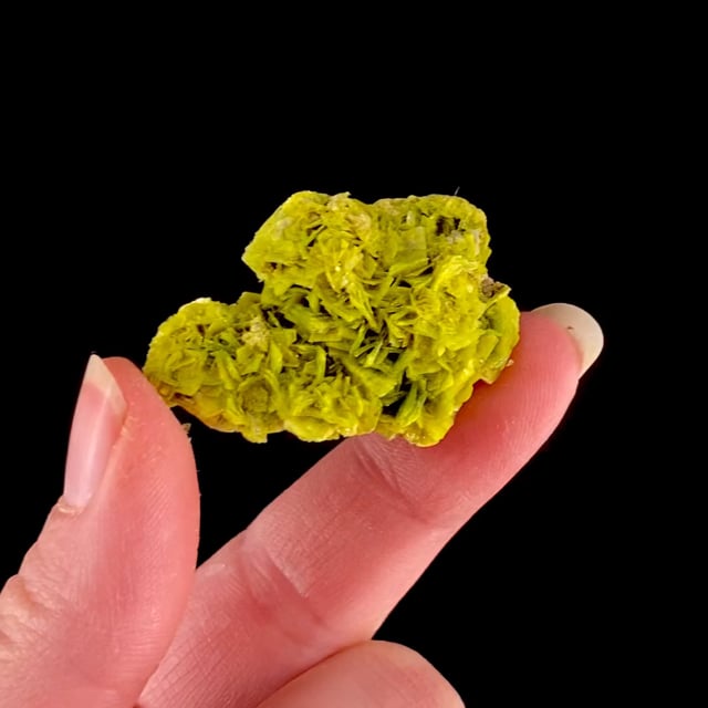 Autunite | Daybreak Mine, Mount Kit Carson, Spokane County, Washington, USA