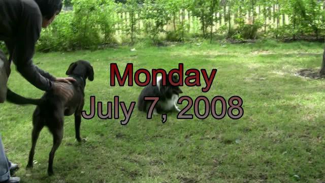 Monday, July 7, 2008 on Vimeo