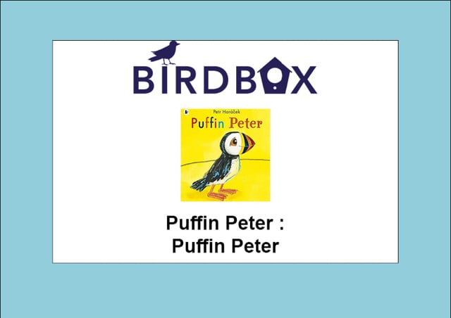 Puffin Peter : Teaching Ideas - An Lanntair