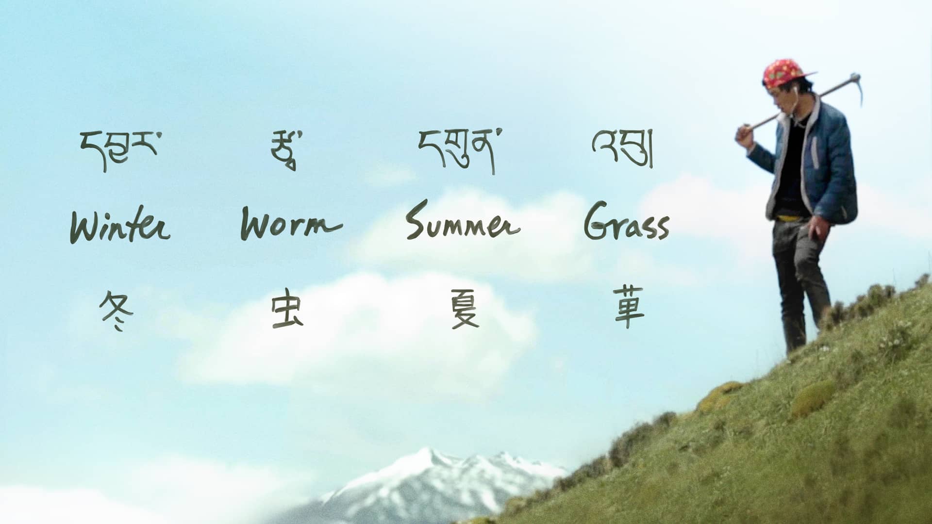 Winter Worm Summer Grass - TRAILER on Vimeo