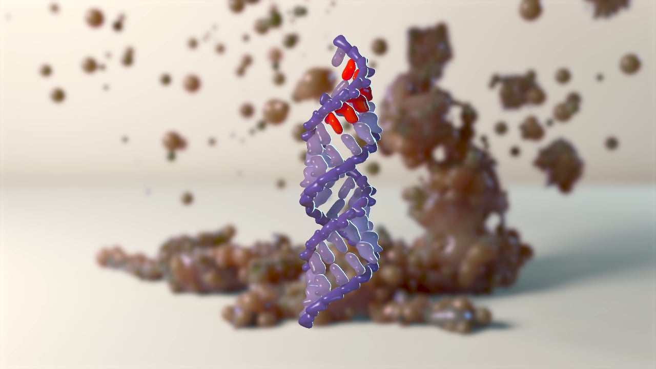 MicroRNA Animation on Vimeo