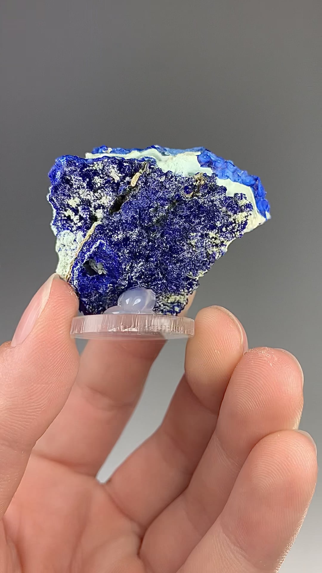 IMG_E1159.MOV on Vimeo