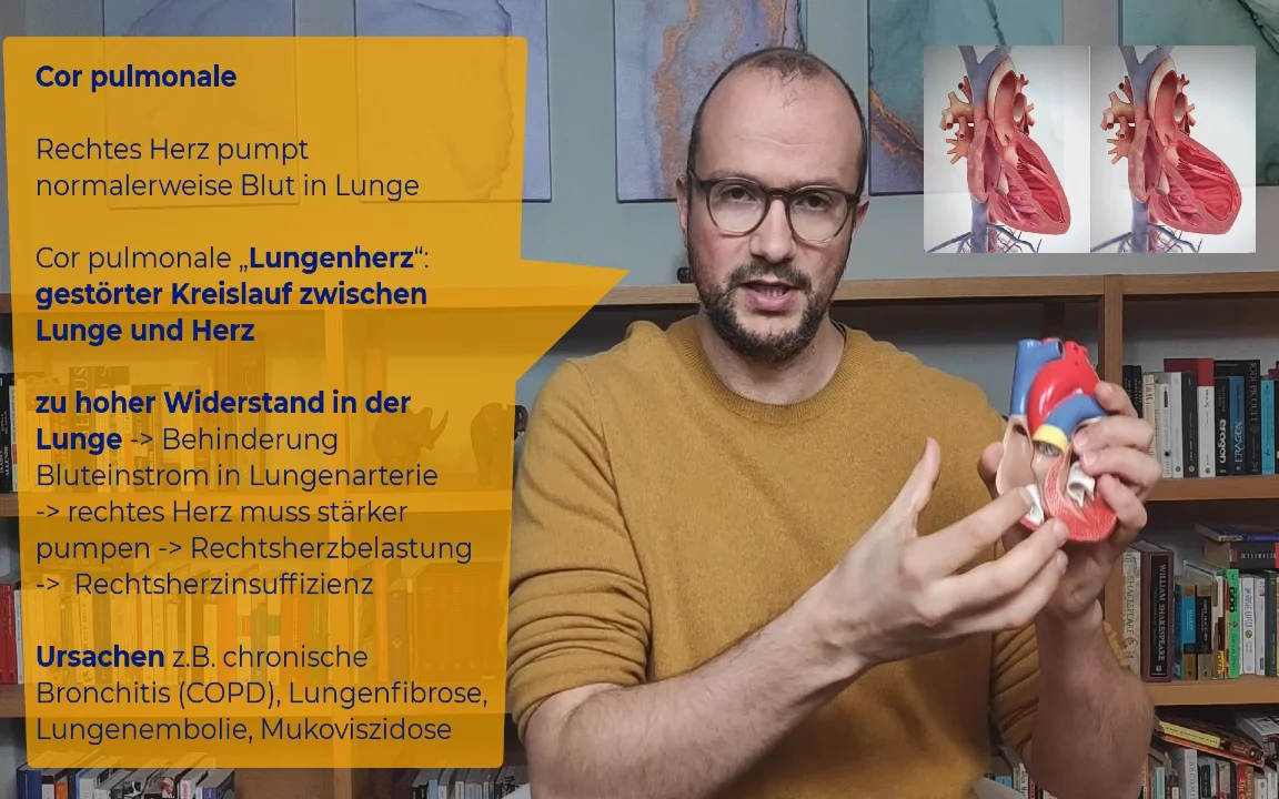 4 Cor pulmonale on Vimeo