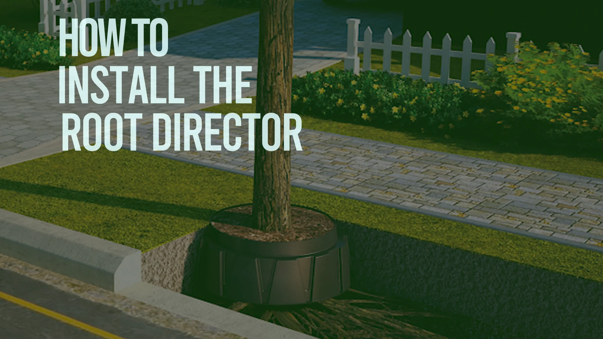 Rootdirector By Citygreen