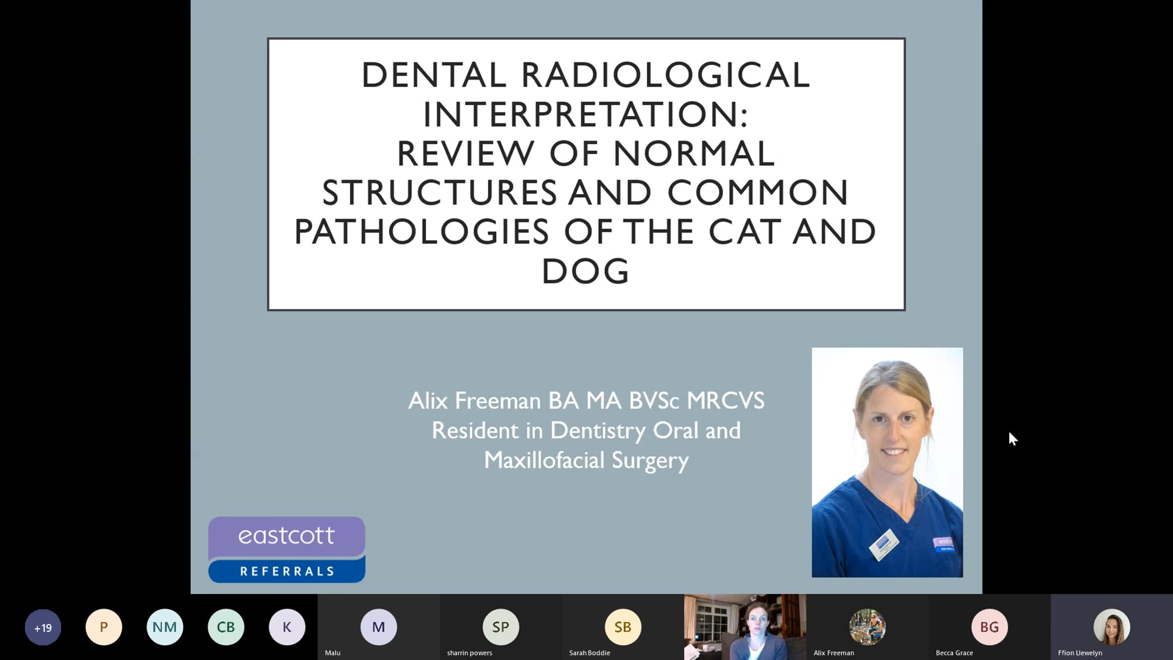 Radiographic and CT evaluation of dental lesions and oral masses