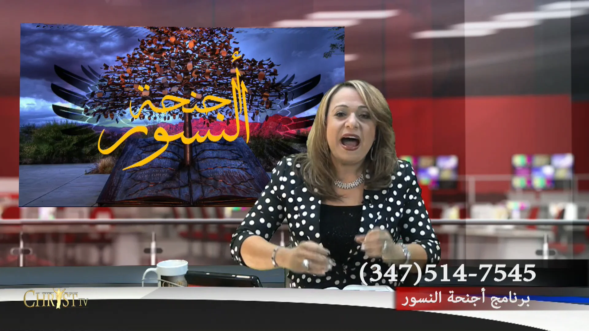 the pheroh gods 111215