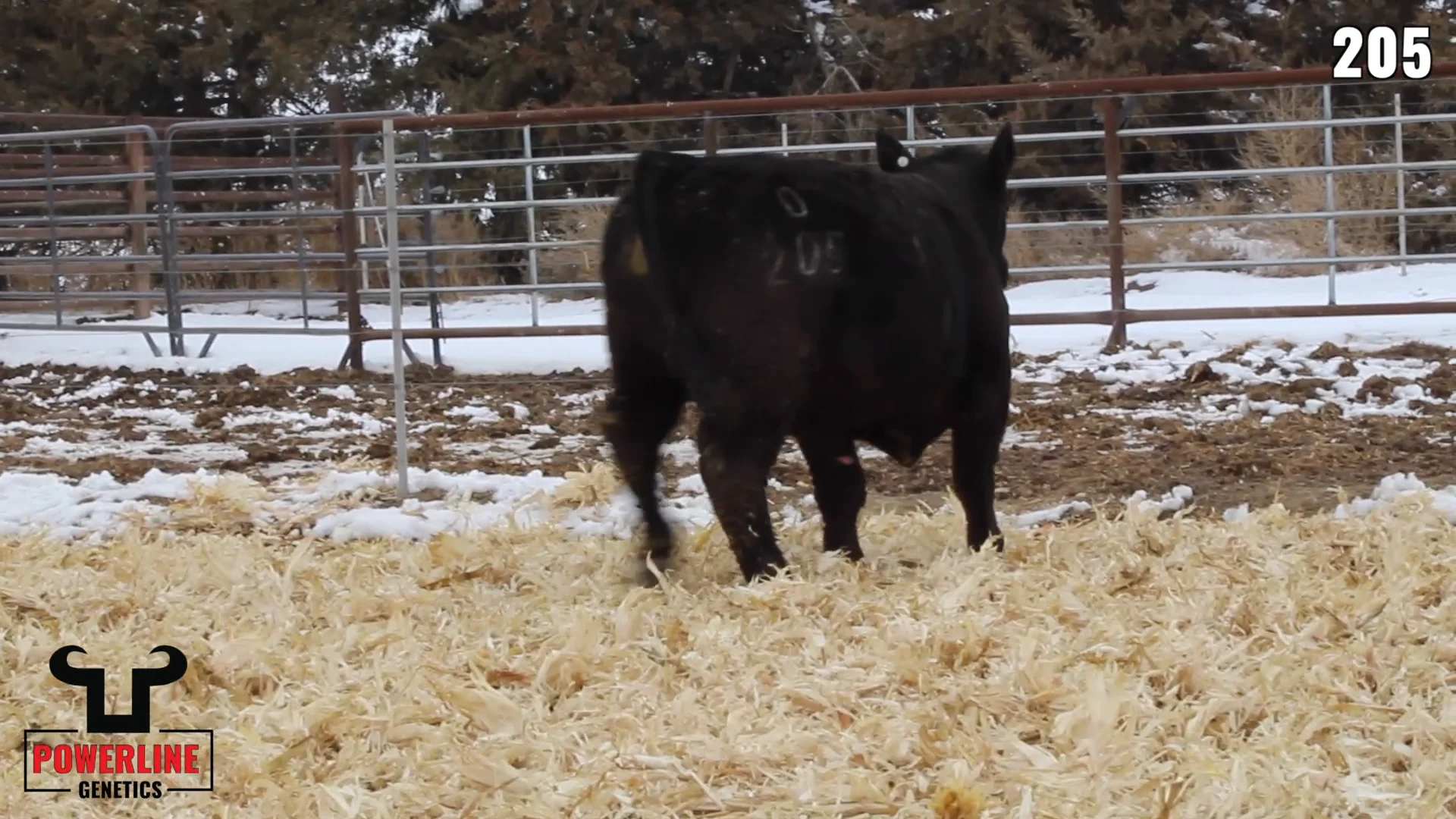 Powerline Genetics 20-205 on Vimeo