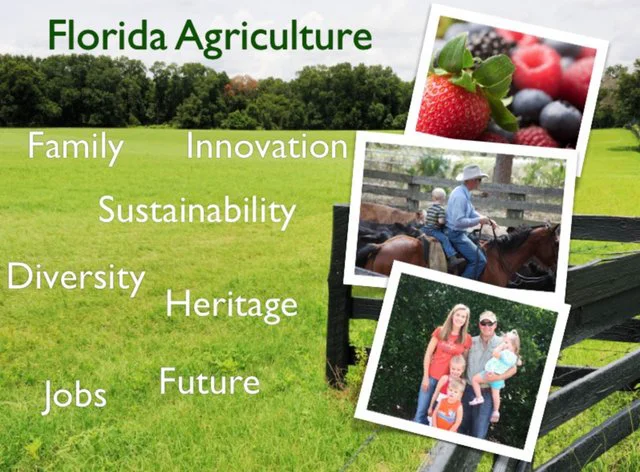 Florida Agriculture on Vimeo