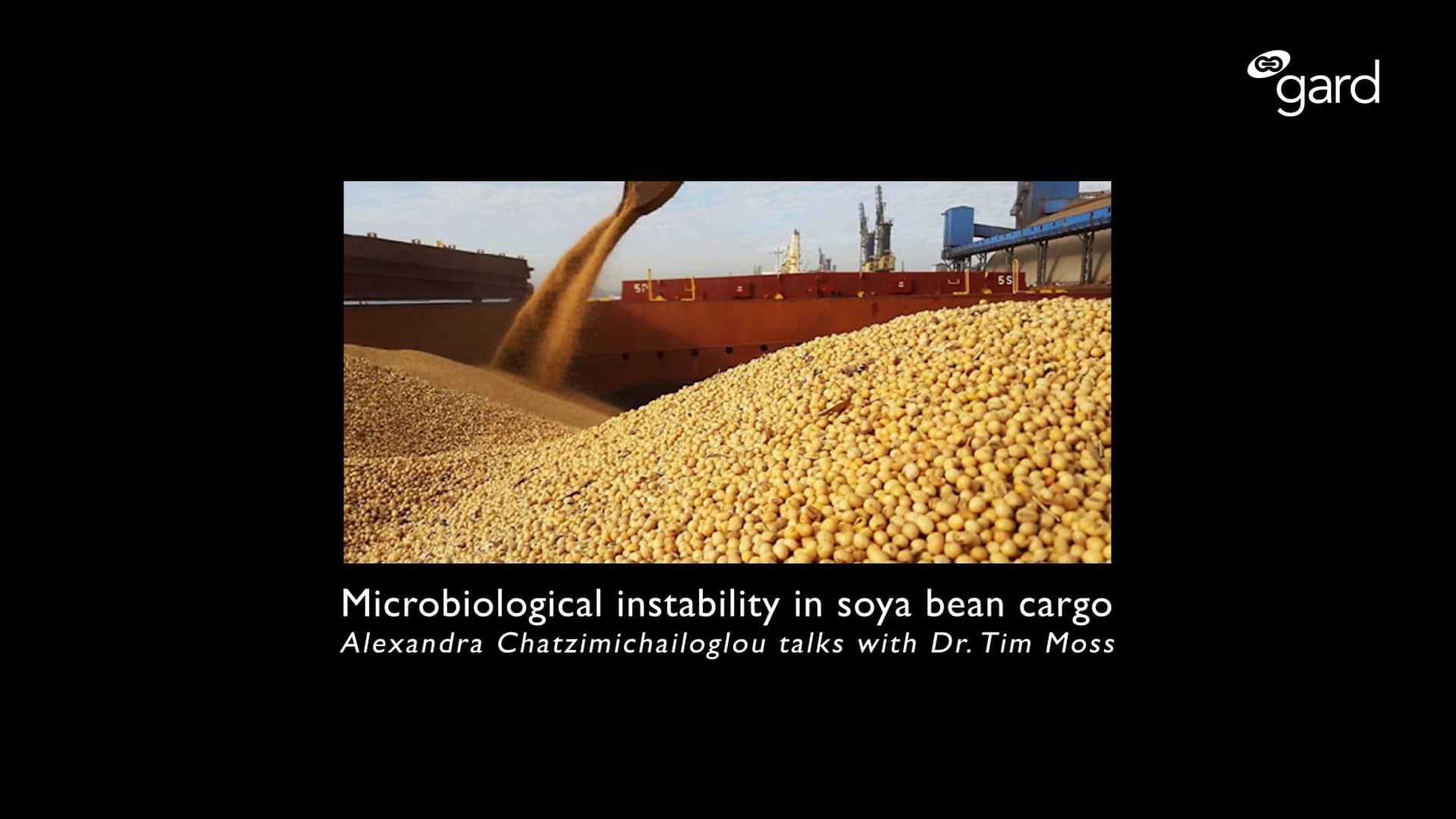Microbiological instability in soya bean cargo on Vimeo