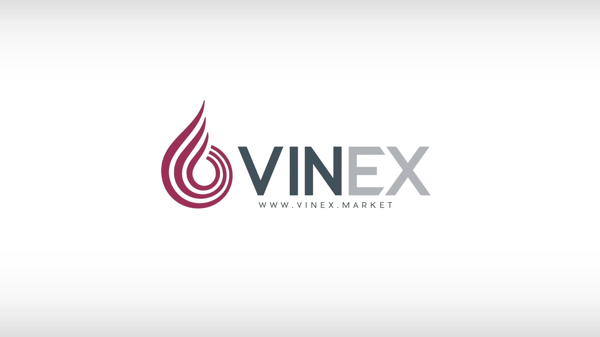 VINEX Investor Video on Vimeo