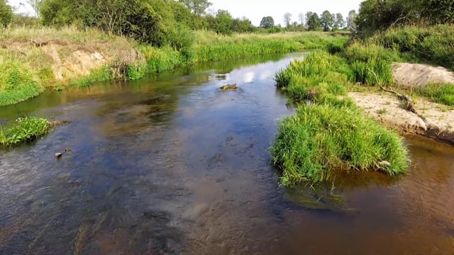 Water, River, Stream. Free Stock Video - Pixabay