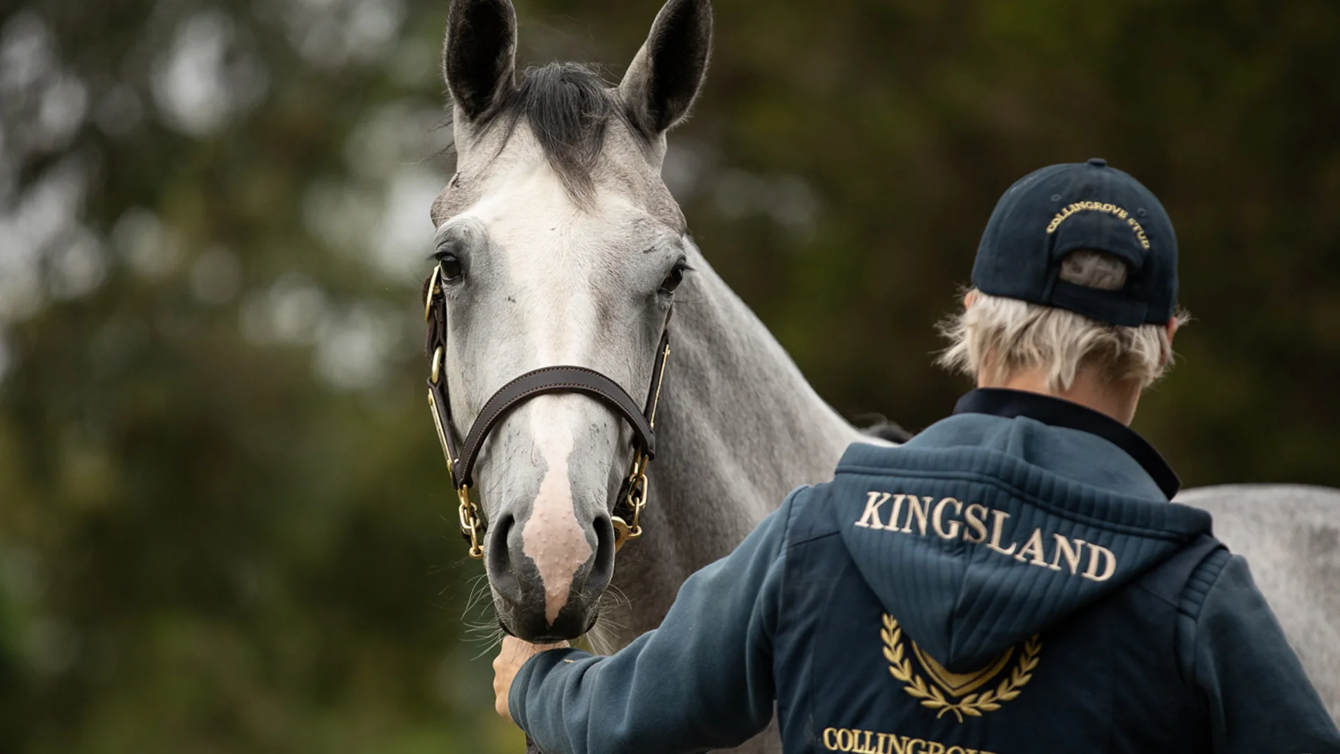 Collingrove Stud - 2021 Inglis Premier Preview on Vimeo