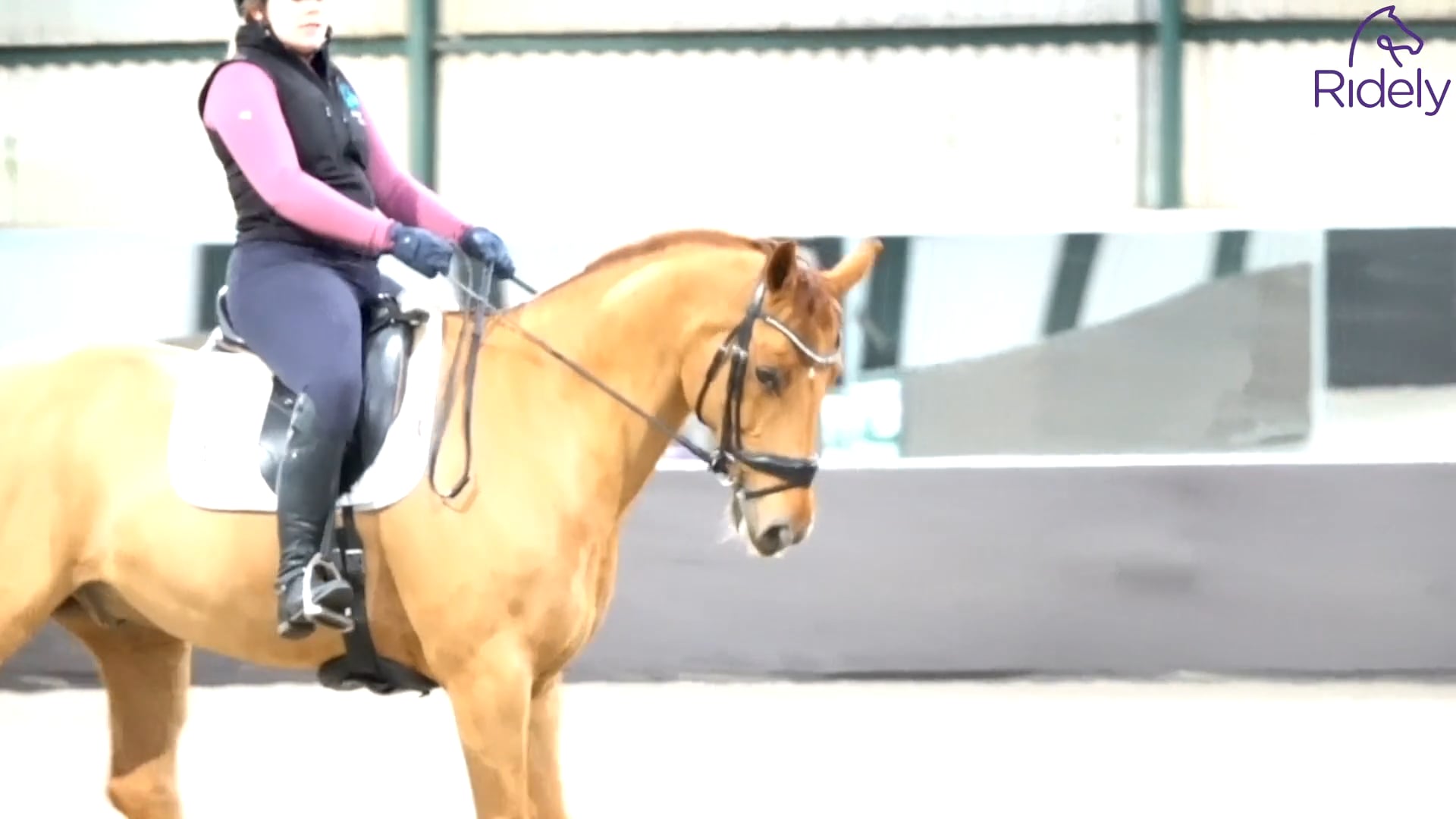 Explaining the Contact | Ridely