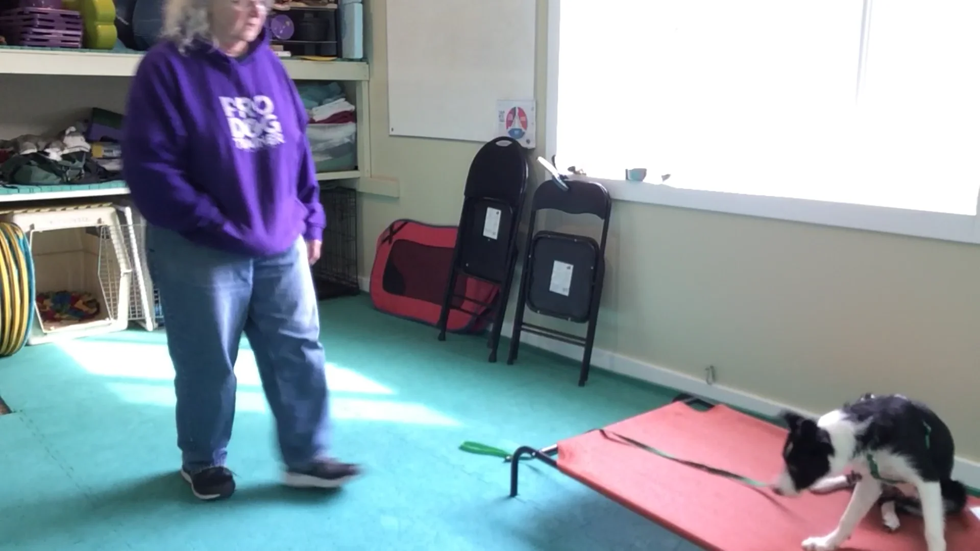 Two Stop Hop crate and bed Magyk 21 03 01 on Vimeo