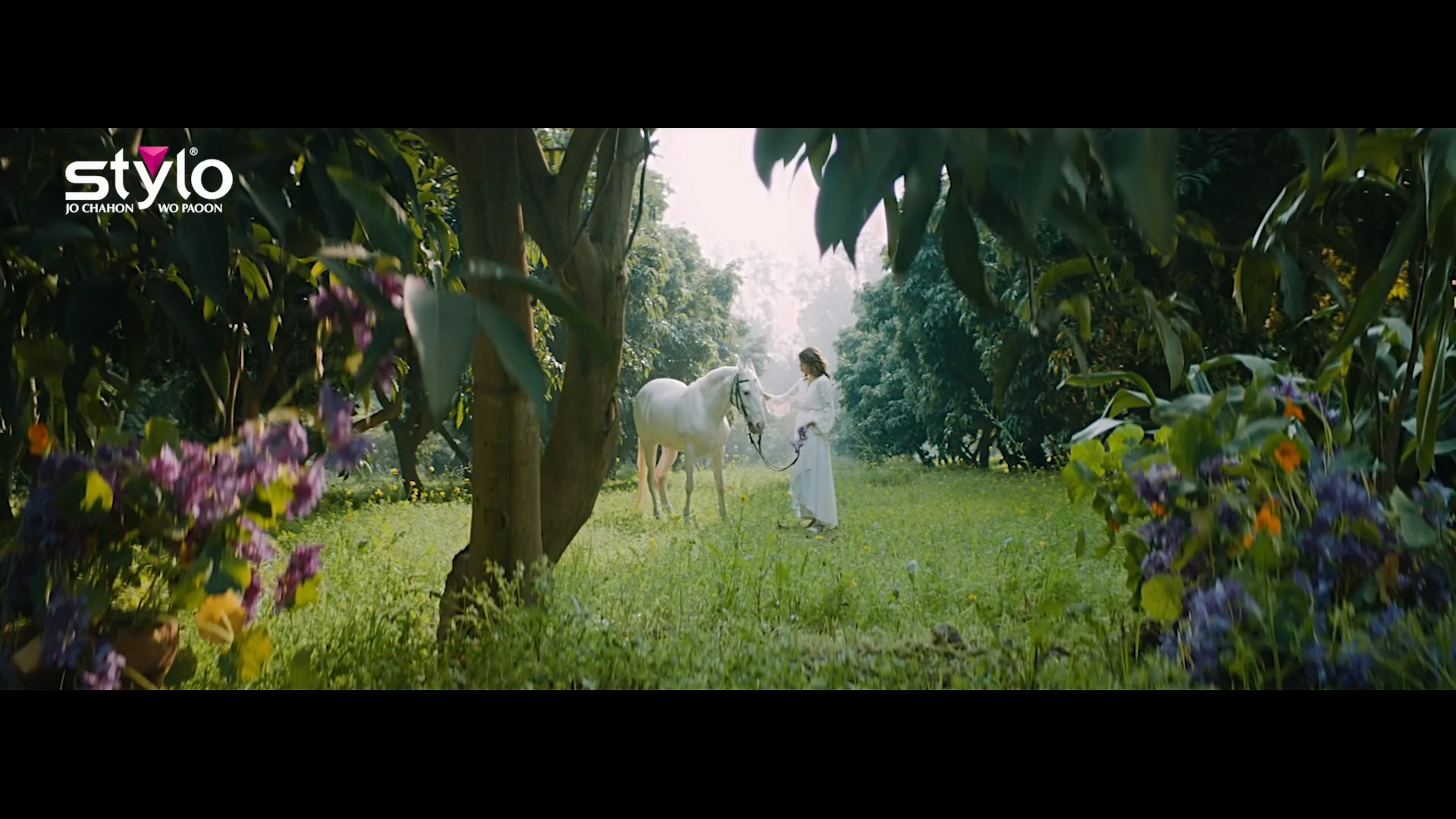 Stylo - Summer Collection 2021 Director's Cut on Vimeo