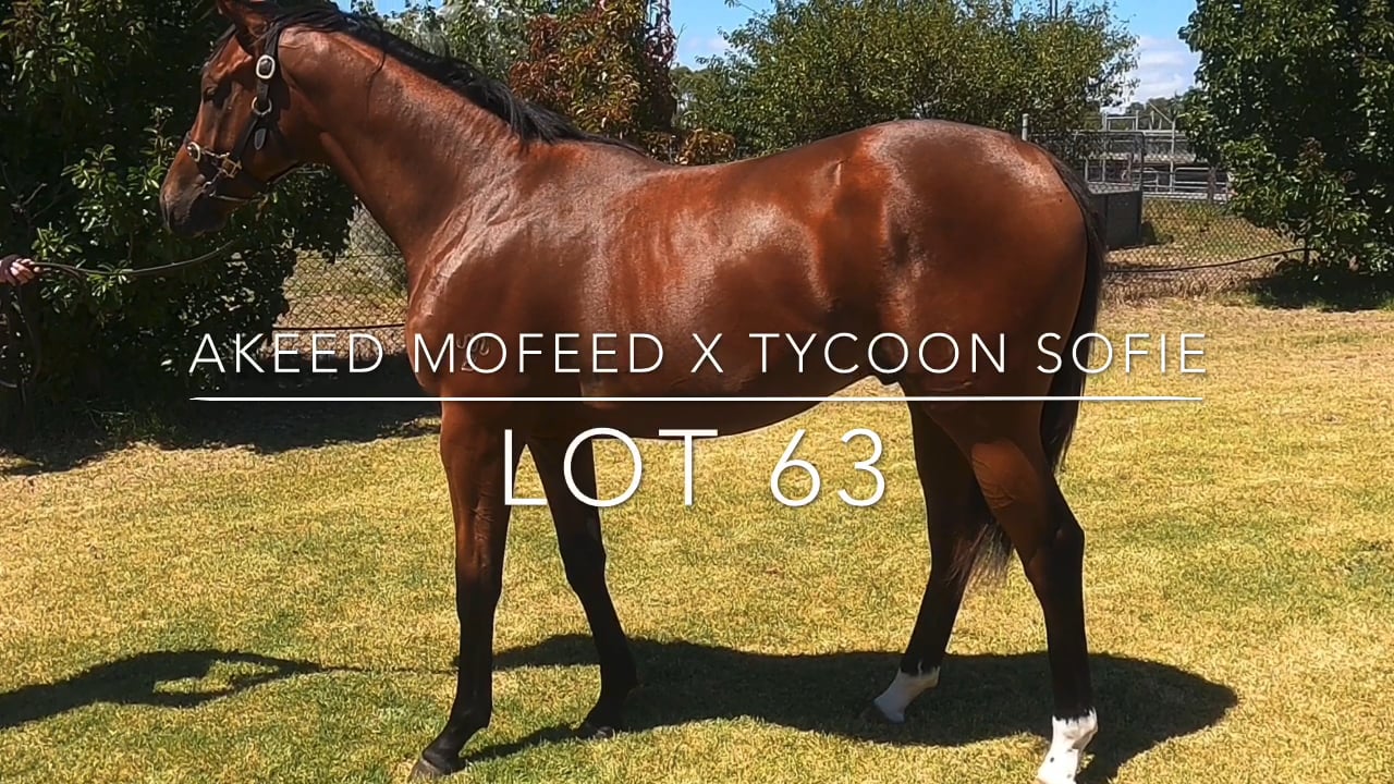 Lot 63 Akeed Mofeed x Tycoon Sofie on Vimeo