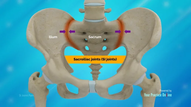 Diagram Of Your Si Joint