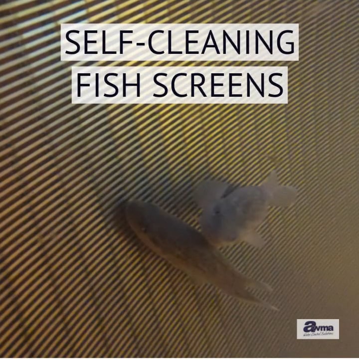 Fish Protection Screens: What and Why