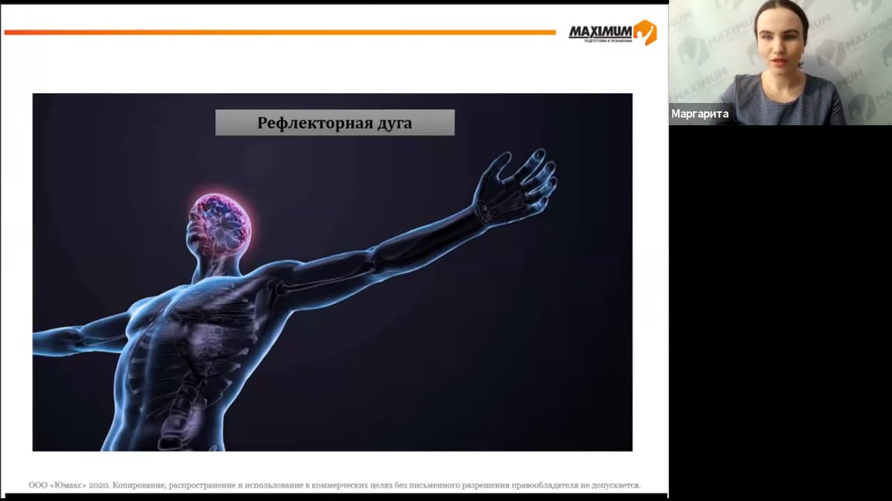 Занятие 41 ege_ru_11_onl-group_bio_normal_std_paid_max_33w_62l_01.10.20 ...