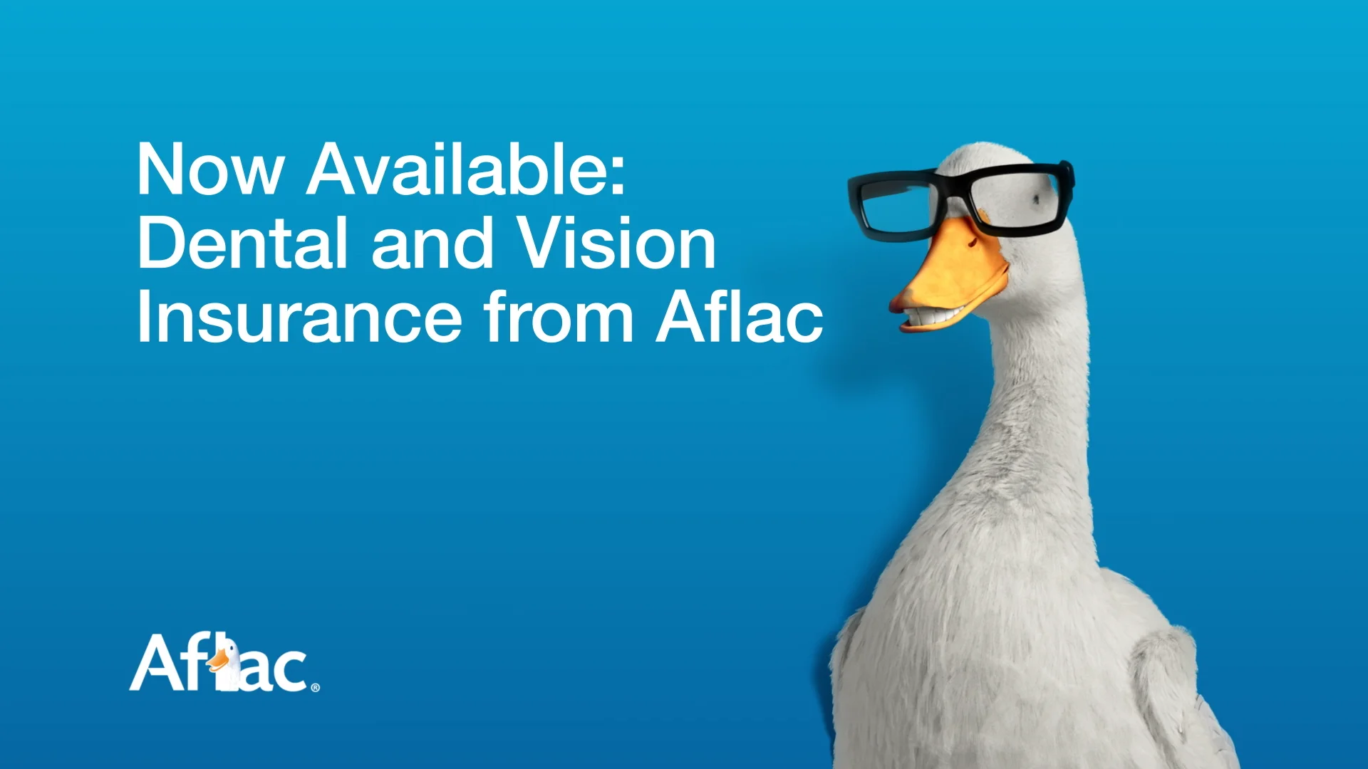 Aflac__Dental and Vision