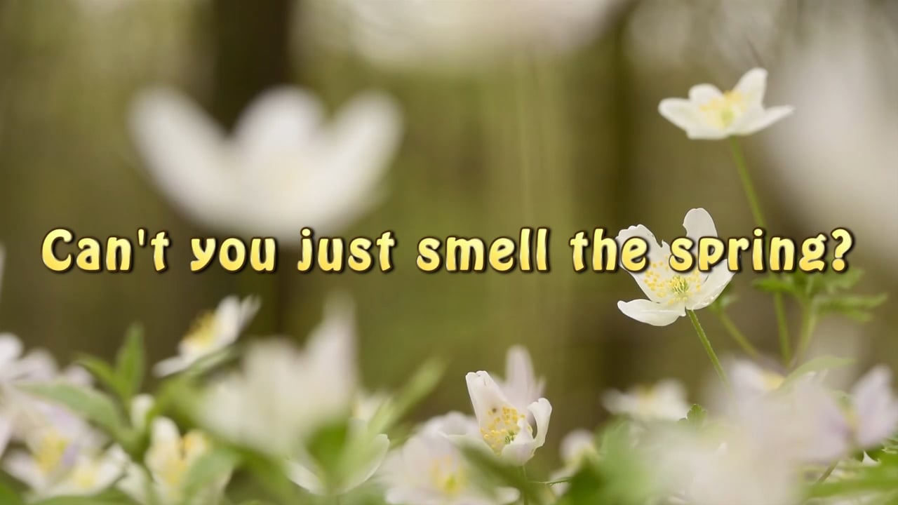 Smell spring on Vimeo