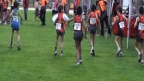 Videos about “esbufecs” on Vimeo