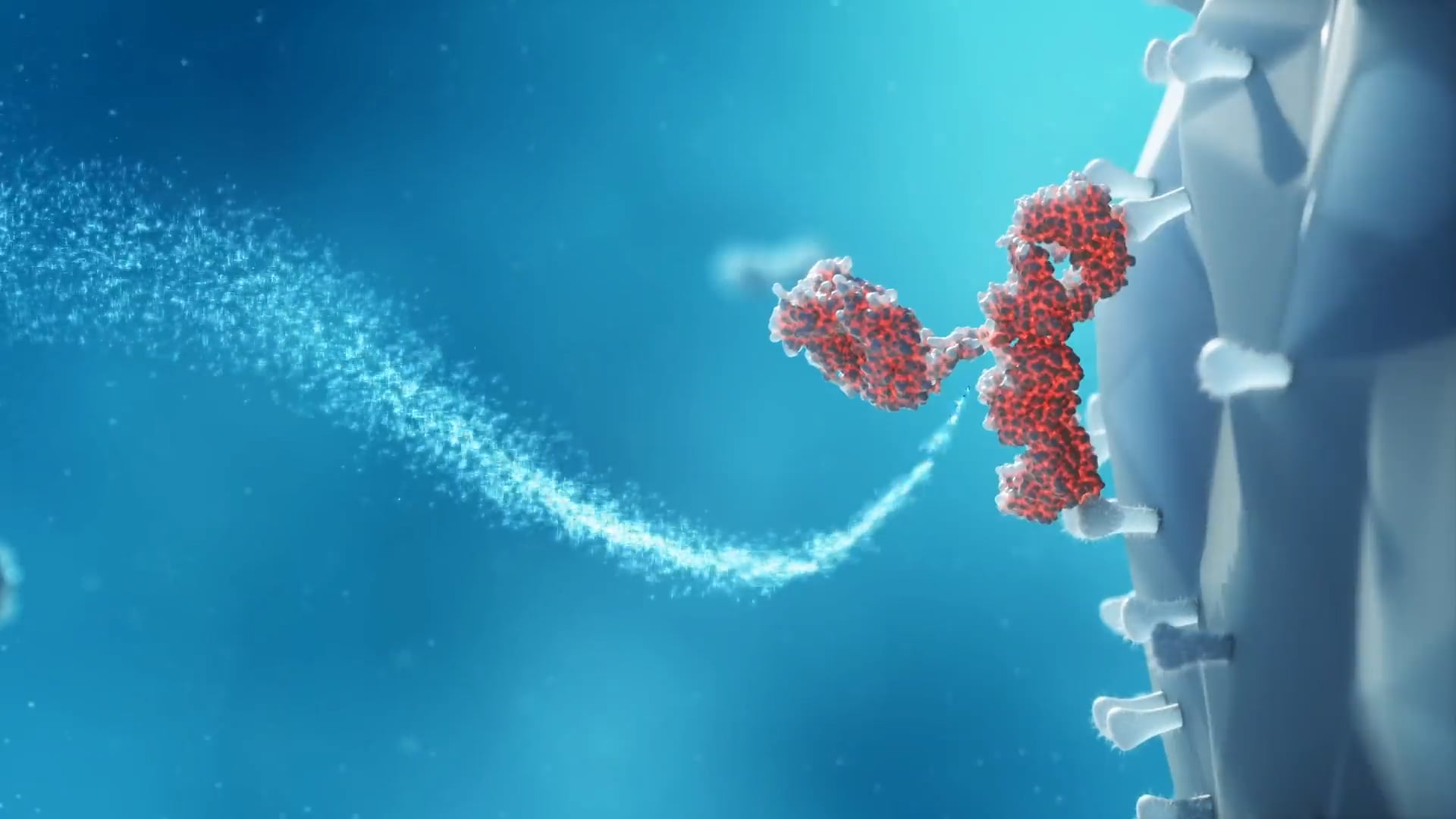 Imlifidase mode of action on Vimeo