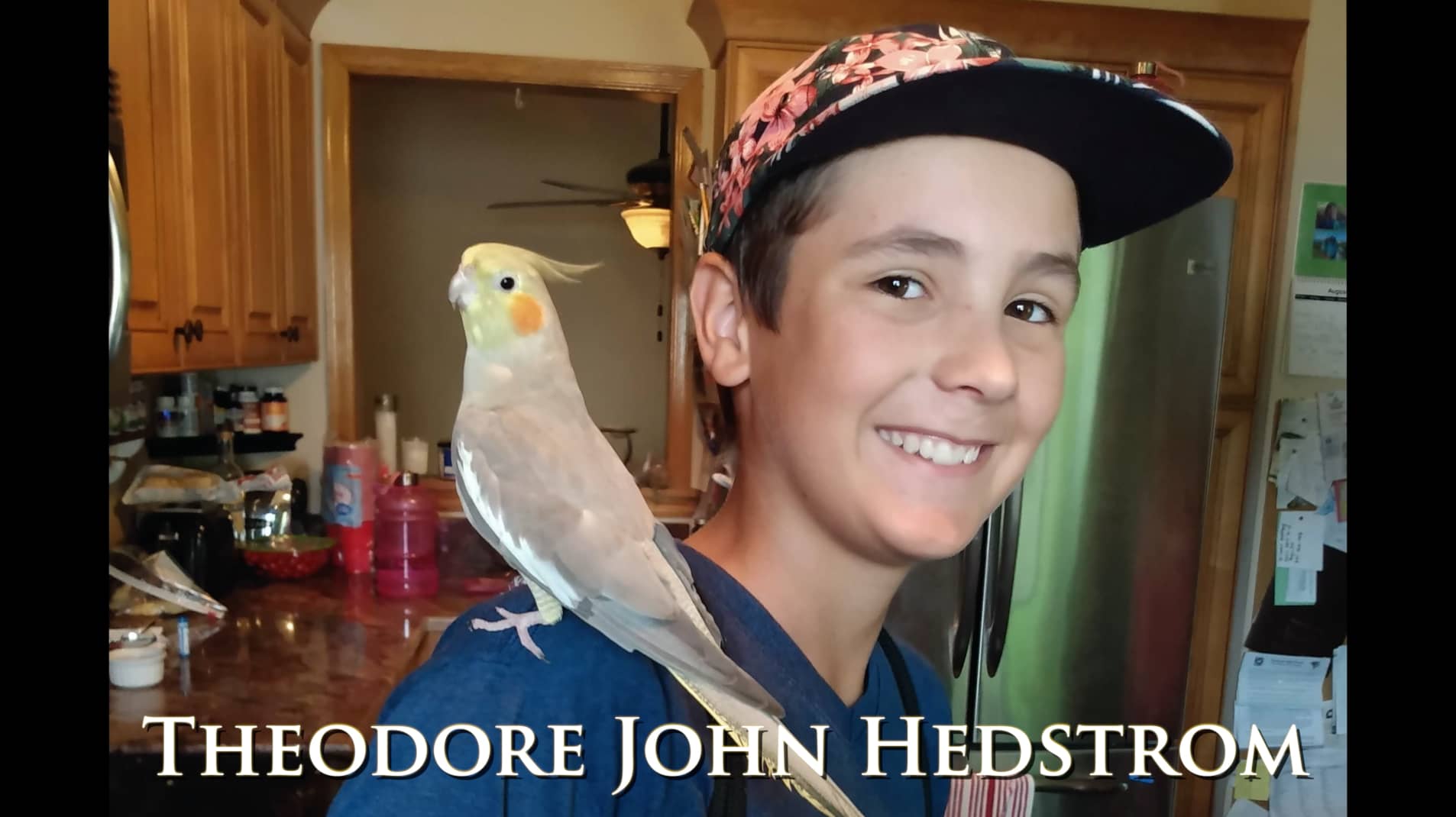 Theodore Hedstrom Memorial Service on Vimeo