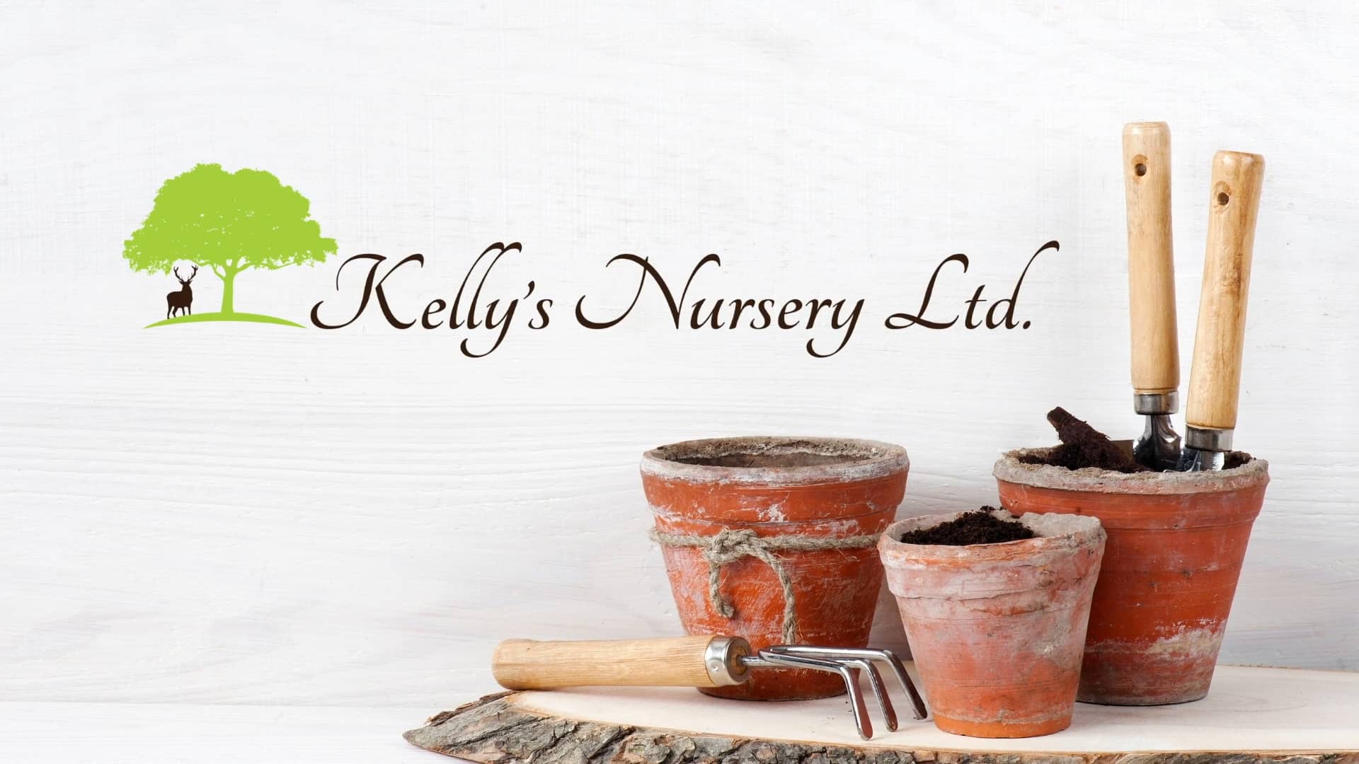 Kellys Nursery - trolley fair promo on Vimeo