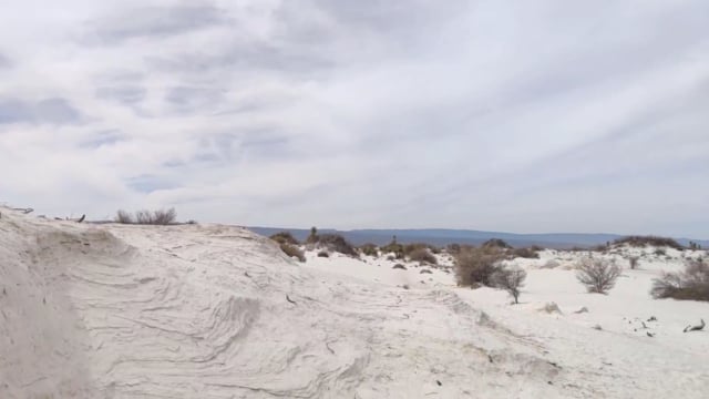 Desert, Mexico, Dunes. Free Stock Video - Pixabay