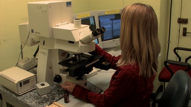 Confocal laser scanning fluorescence microscope — Science Learning Hub