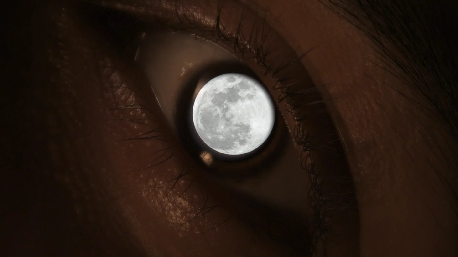 Eric Mann's Reel - 2021