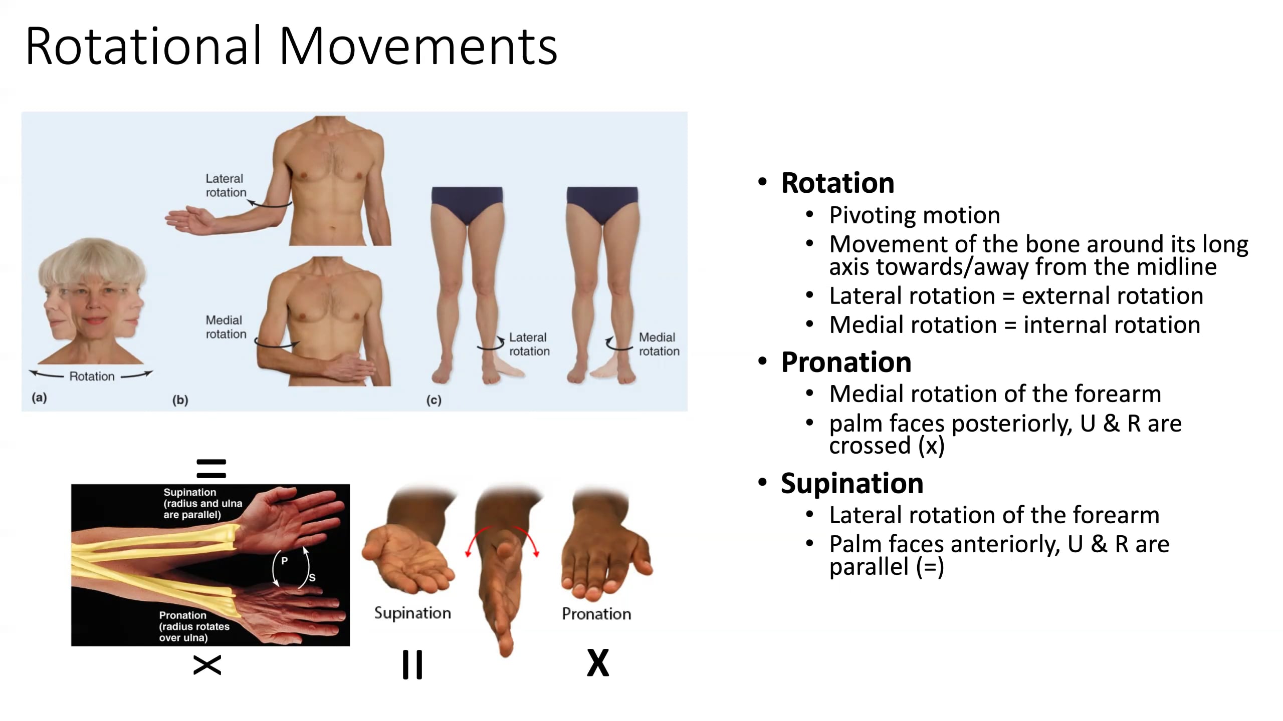 Movement.mp4 on Vimeo