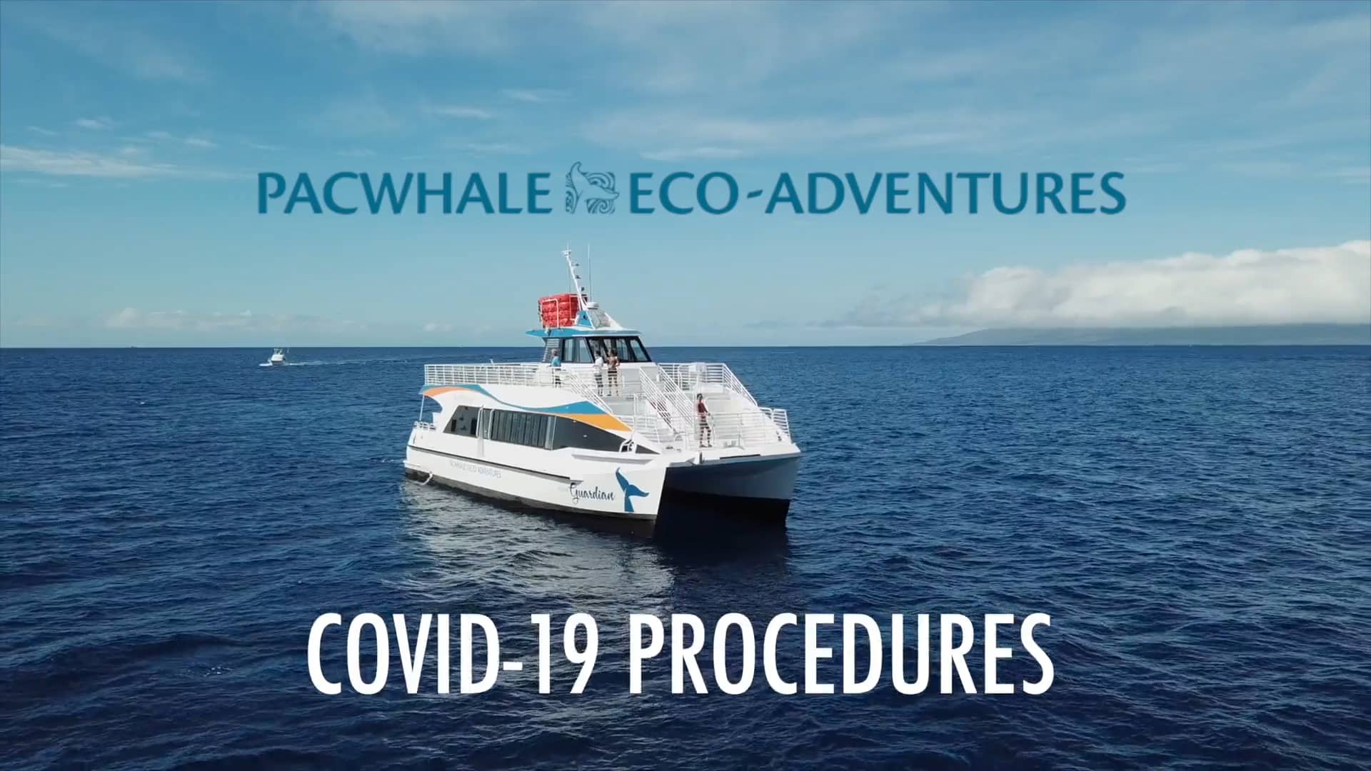 Pacwhale Eco-Adventures Covid19 Safety Video on Vimeo