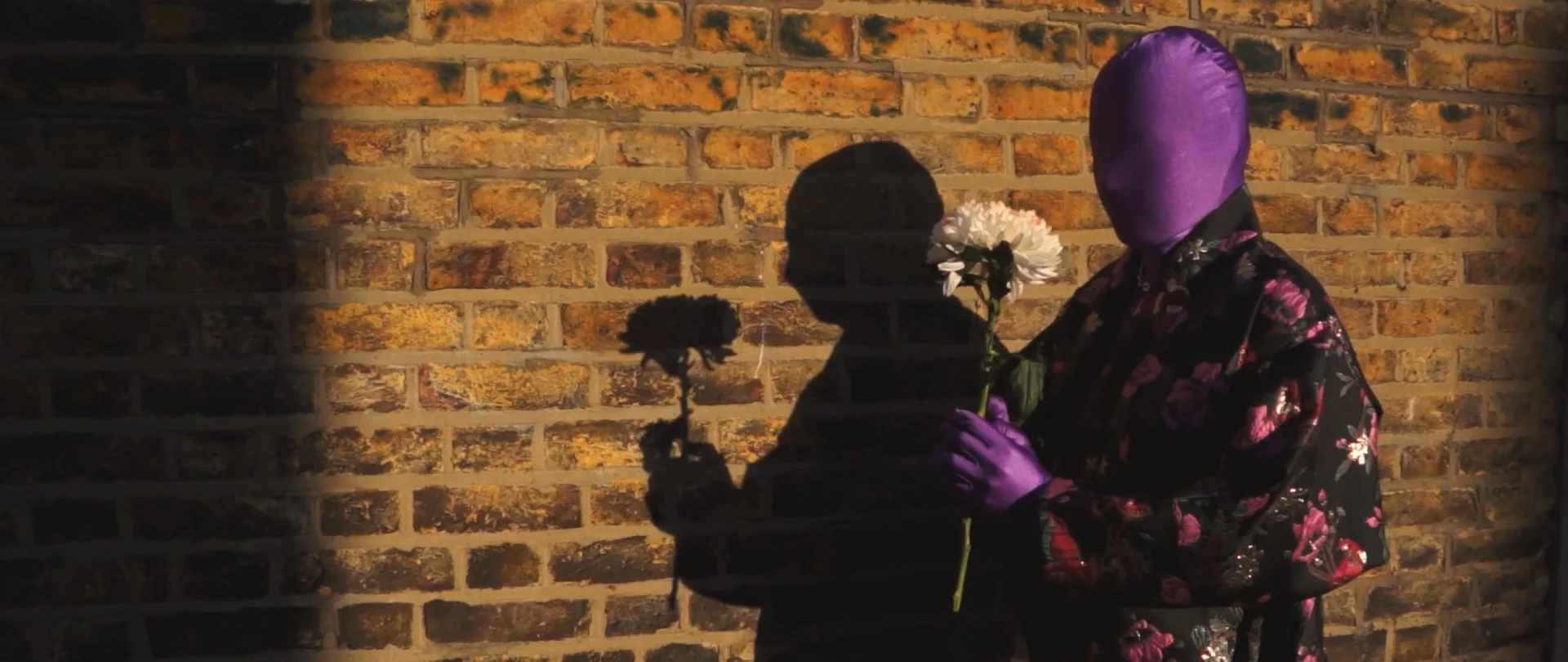 SHOWREEL RED-COR 2021 on Vimeo