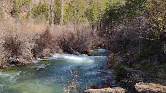 Nature, River, Spring. Free Stock Video - Pixabay