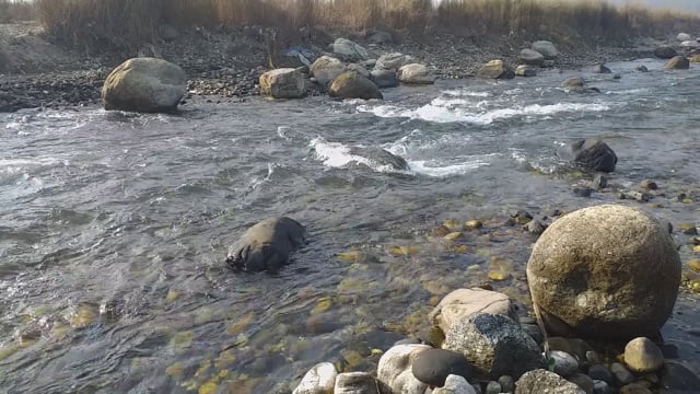 Río Flujo De Agua Arroyo - Free video on Pixabay - Pixabay