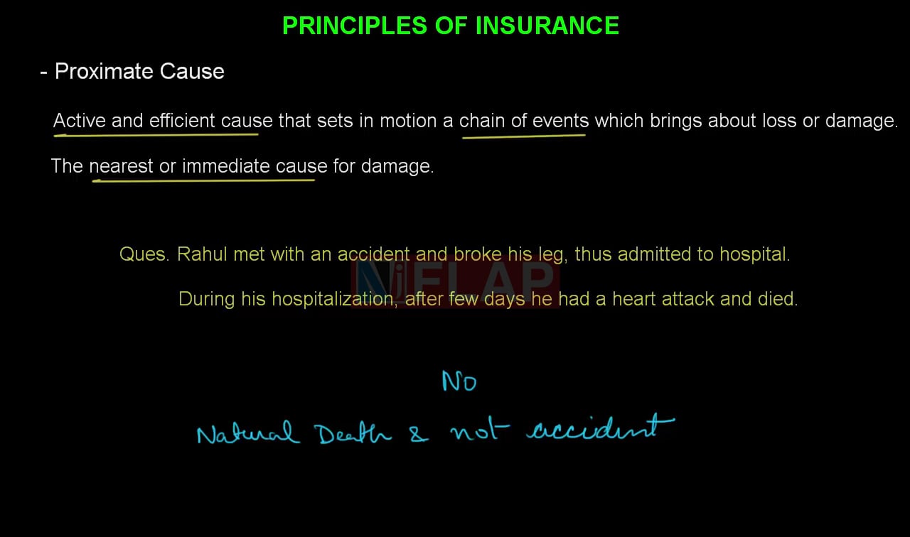 Principles of Insurance - Proximate Cause on Vimeo